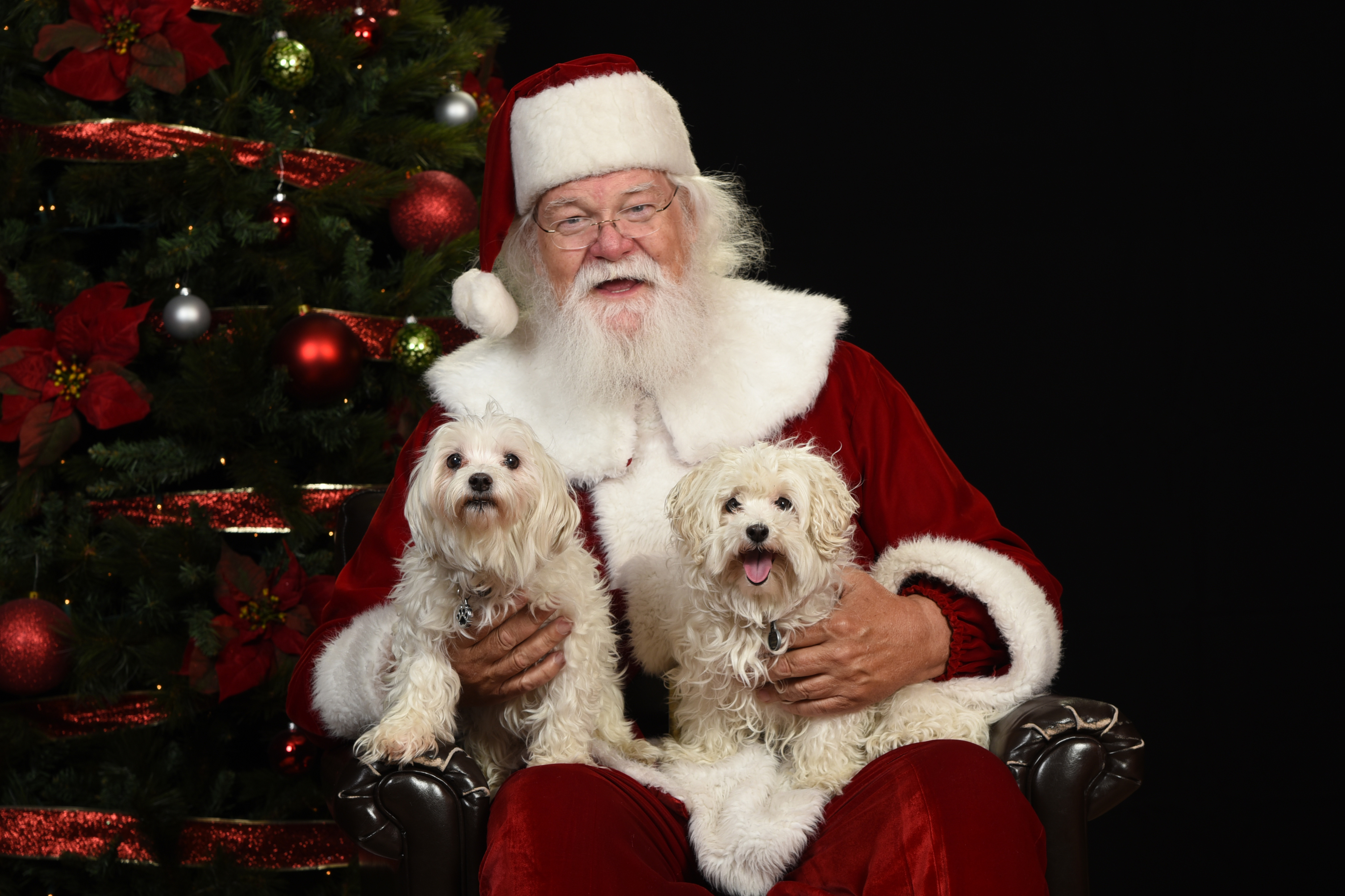 Santa Jerry | Jordan Photography